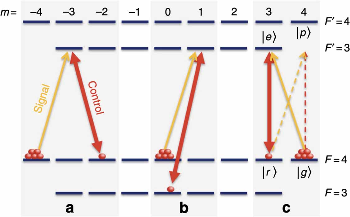 Hot atomic vapors for nonlinear and quantum optics - IOPscience