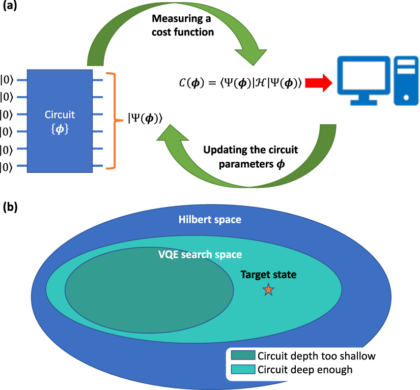 Variational quantum simulation of long-range interacting systems ...