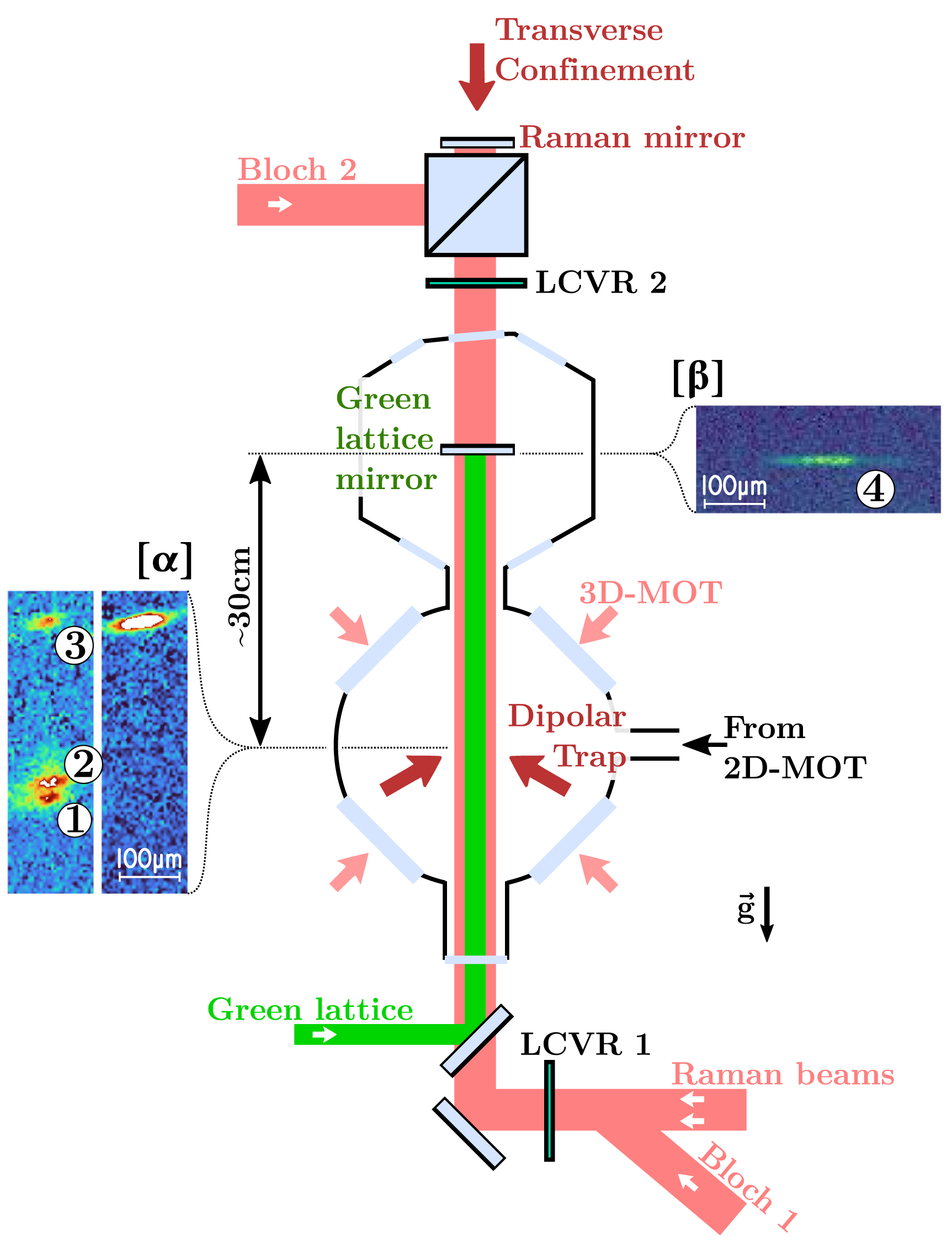 Long-range temperature-controlled transport of ultra-cold atoms with an ...