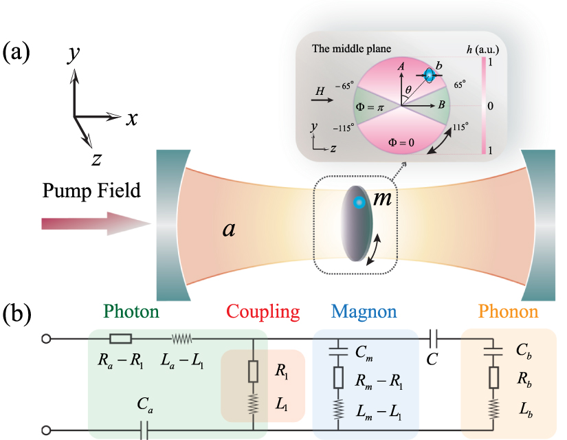 Exceptional-point-engineered phonon laser in a cavity magnomechanical ...