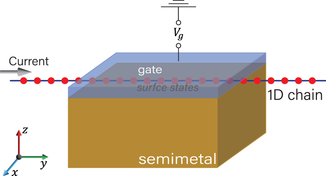 Quantum transport on the surfaces of topological nodal-line semimetals ...