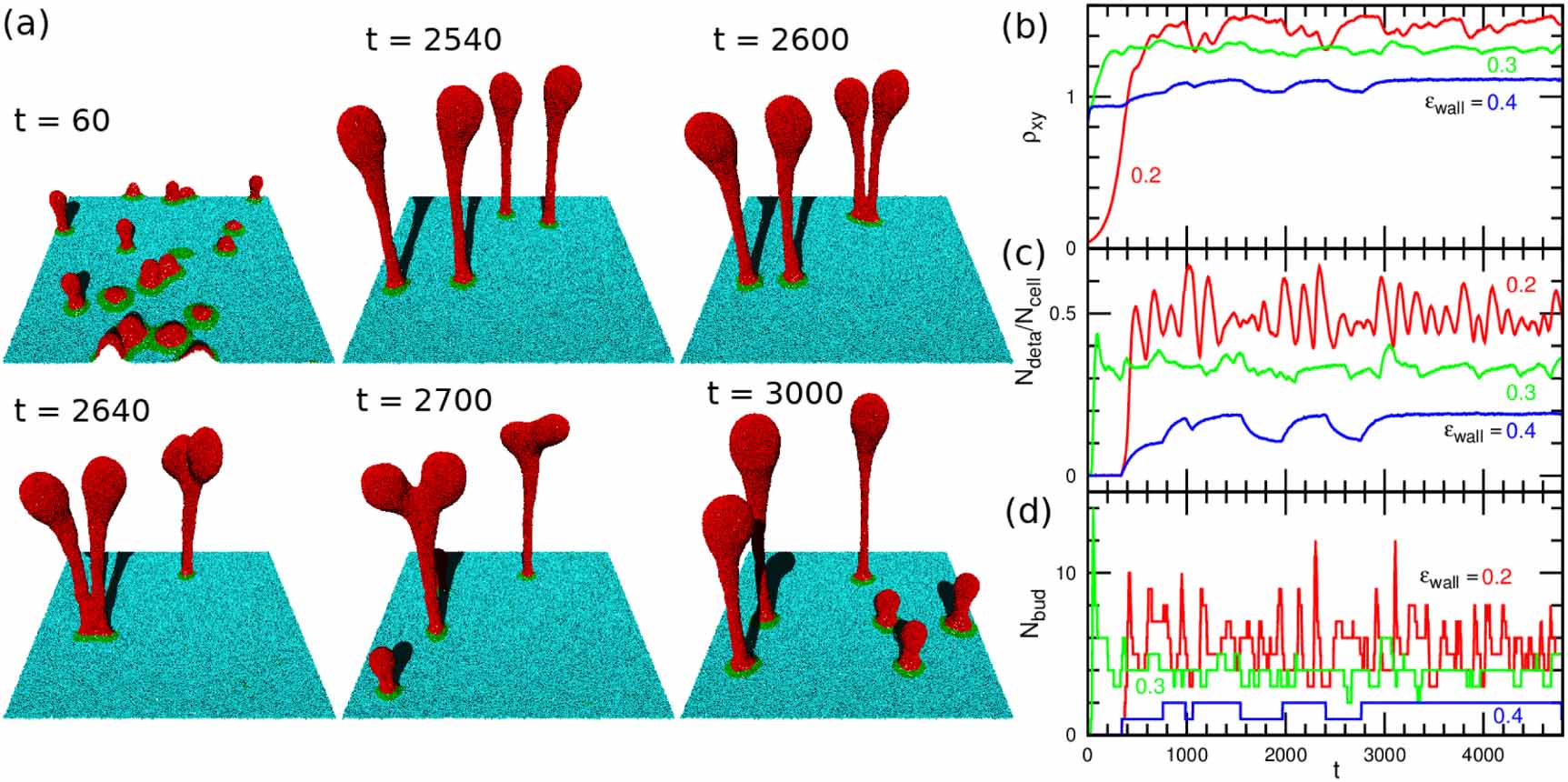 Growth and shrinkage of tissue sheets on substrates: buds, buckles, and ...