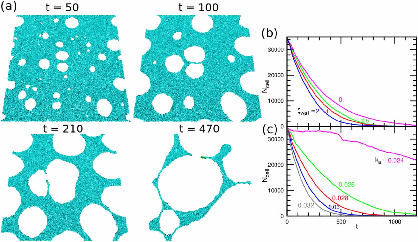 Growth and shrinkage of tissue sheets on substrates: buds, buckles, and ...