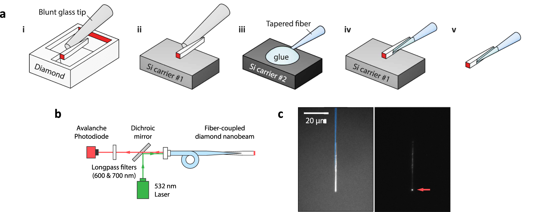 A robust, fiber-coupled scanning probe magnetometer using electron ...