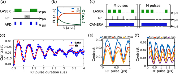 Modelling Rabi oscillations for widefield radiofrequency imaging in ...