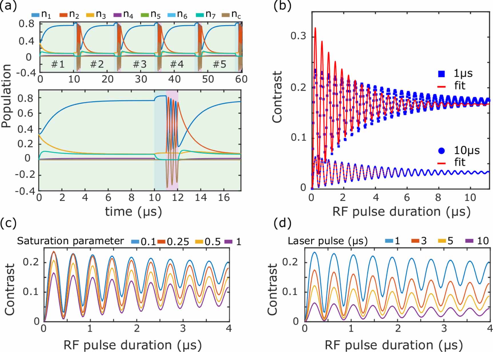 Modelling Rabi oscillations for widefield radiofrequency imaging in ...