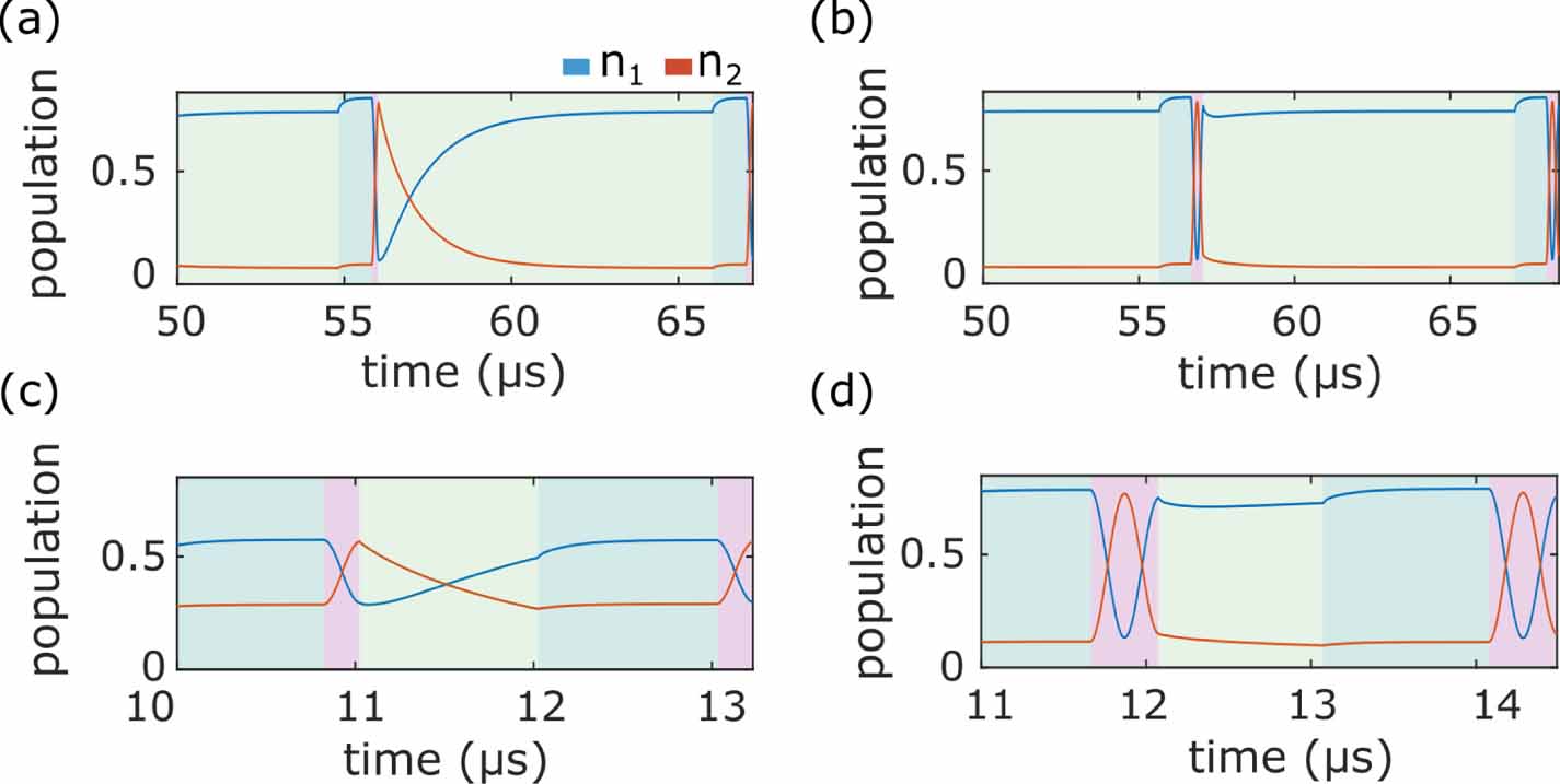 Modelling Rabi oscillations for widefield radiofrequency imaging in ...