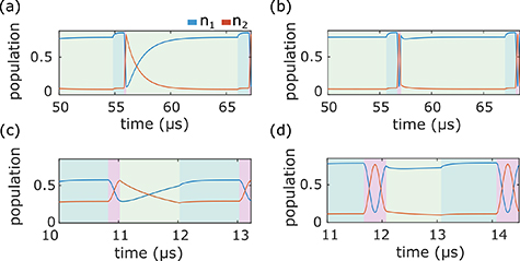 Modelling Rabi oscillations for widefield radiofrequency imaging in ...