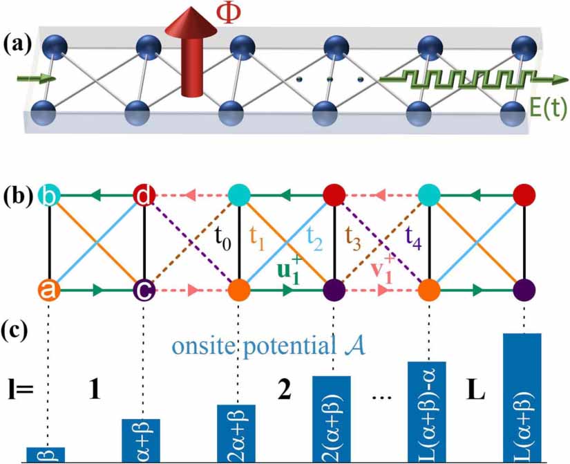 Controllable Floquet topological phases in the magnetic ladder system - IOPscience