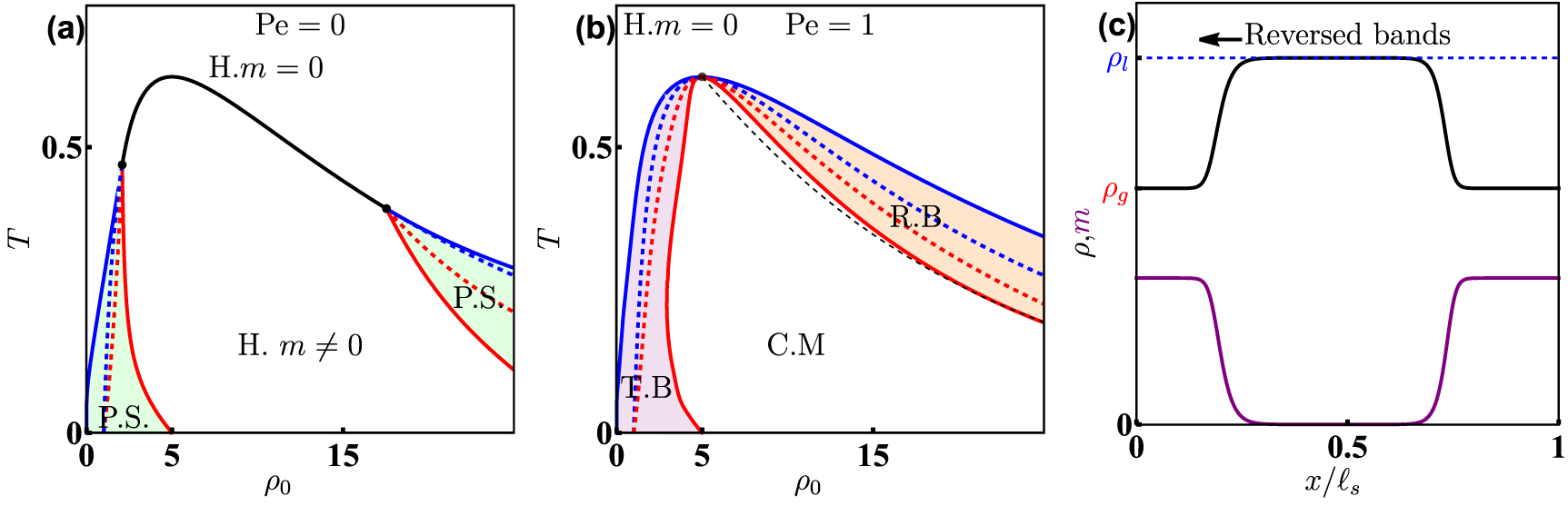Thermodynamically consistent flocking: from discontinuous to continuous transitions - IOPscience