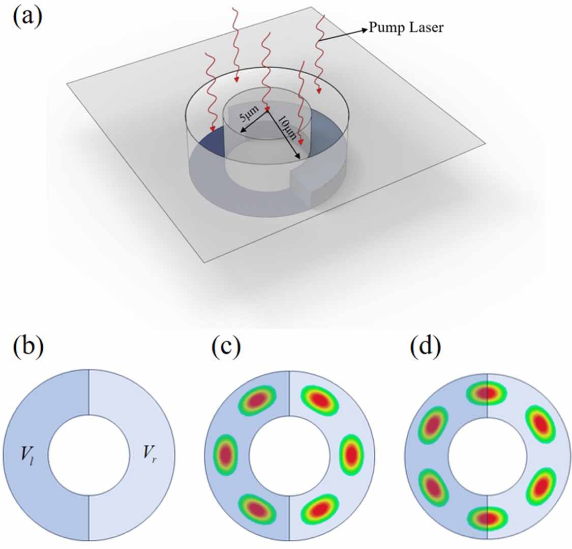 The dynamical evolution of exciton-polaritons in asymmetric ring-step ...