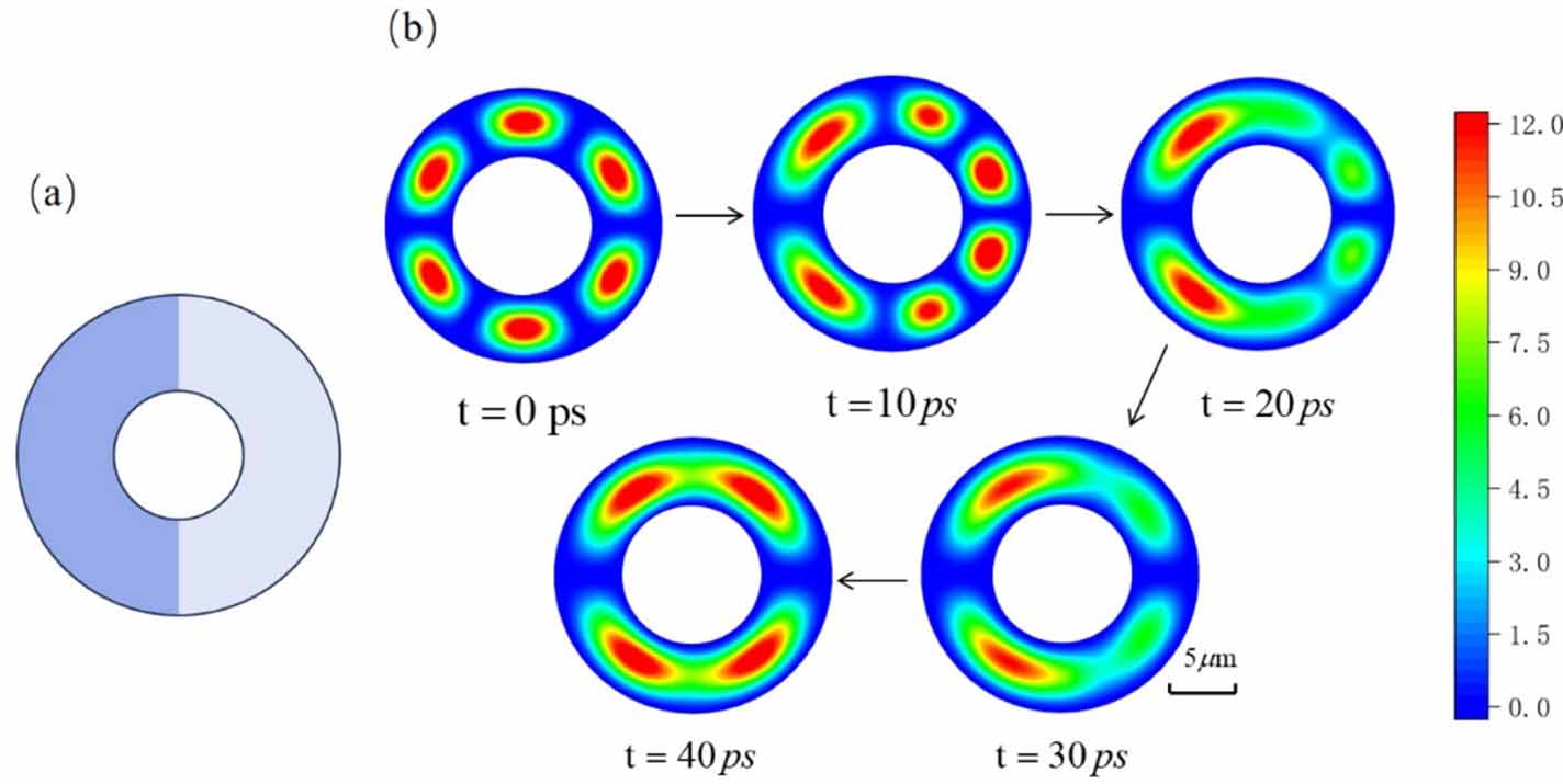 The dynamical evolution of exciton-polaritons in asymmetric ring-step ...