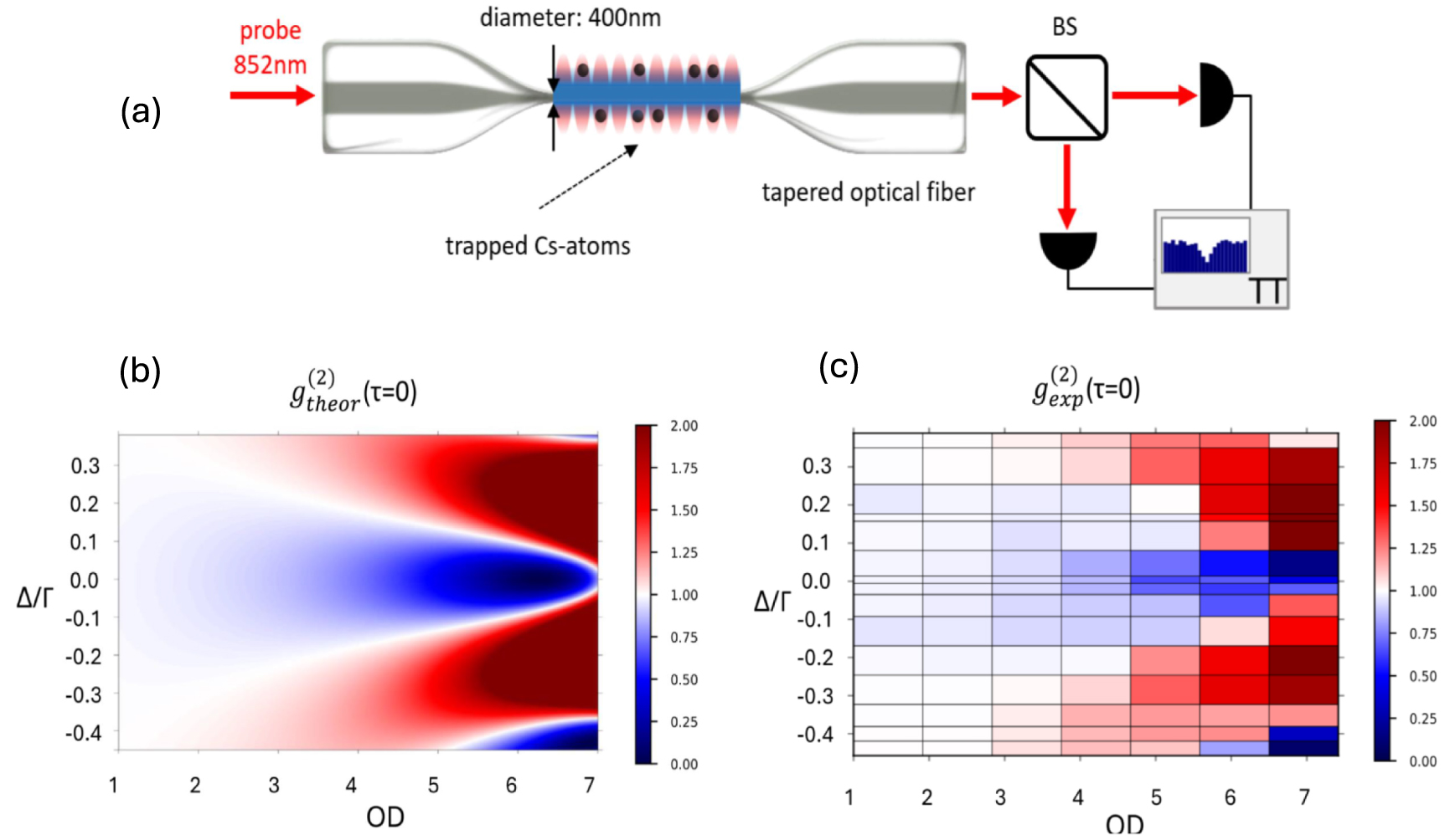 Photon transport in a gas of two-level atoms: unveiling quantum light ...
