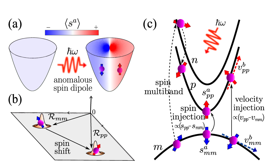 Light-induced nonlinear resonant spin magnetization - IOPscience