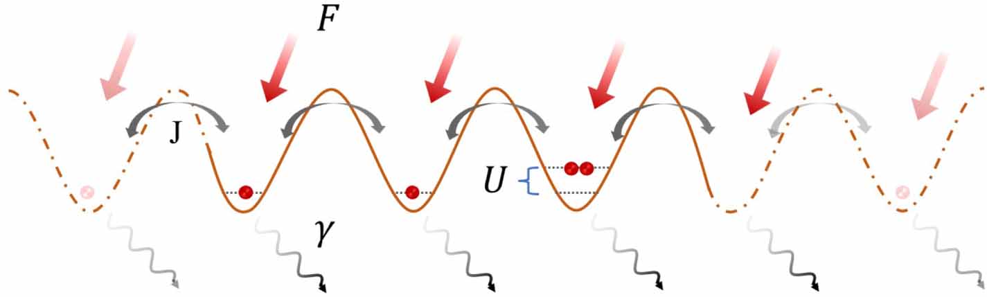 Dynamic structure factor of a driven-dissipative Bose–Hubbard model ...