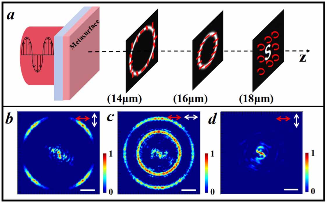 Diversified multiplexing based on multi-dimensional light modulation of ...