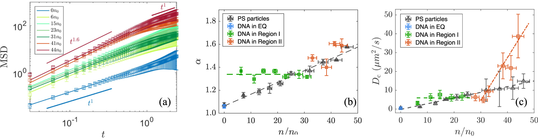 Enhanced diffusion of stretching DNA chains in active baths - IOPscience
