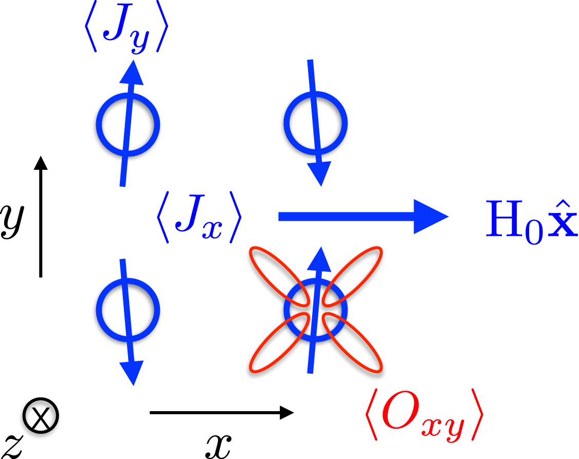 Thermodynamics, elastic anomalies and excitations in the field induced ...