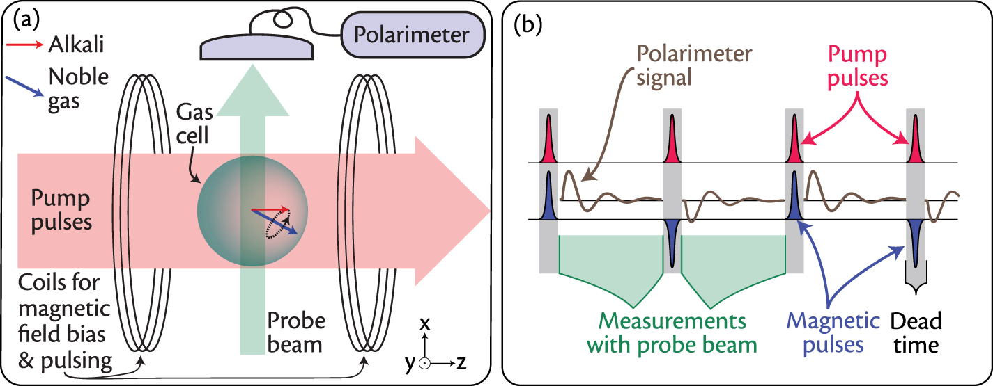 Dual axis atomic magnetometer and gyroscope enabled by nuclear spin ...