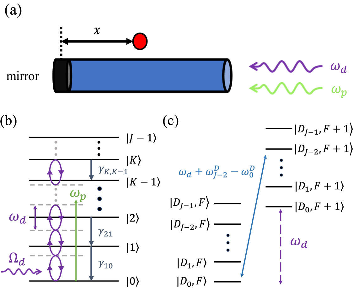Single-atom amplification assisted by multiple sideband interference in waveguide QED systems ...