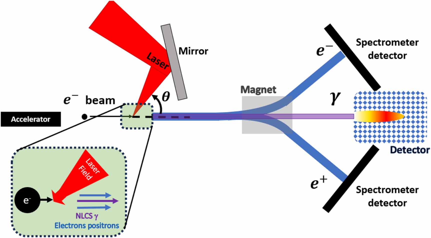 The effect of the electron’s spin magnetic moment on quantum radiation ...