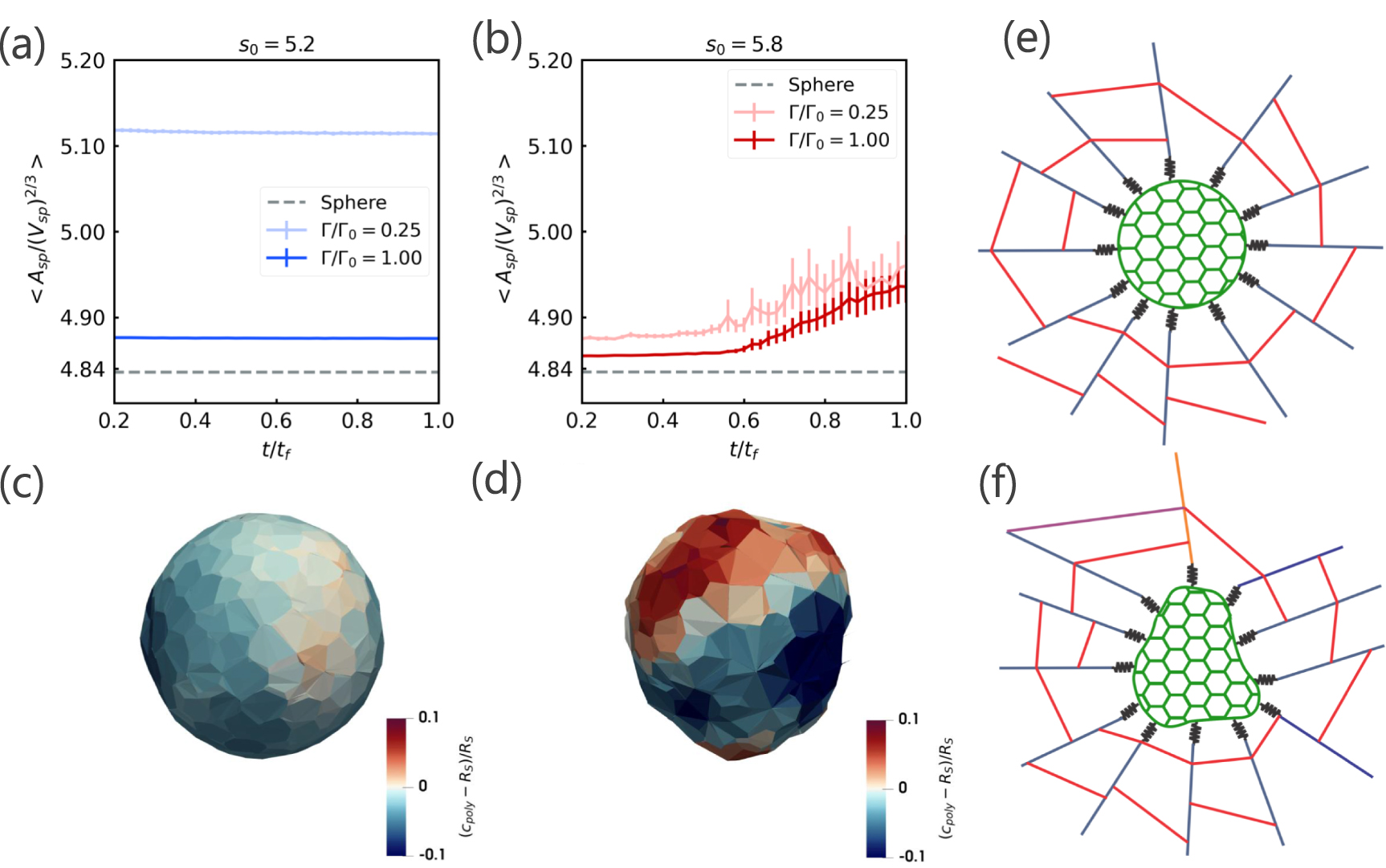 Enhanced extracellular matrix remodeling due to embedded spheroid ...