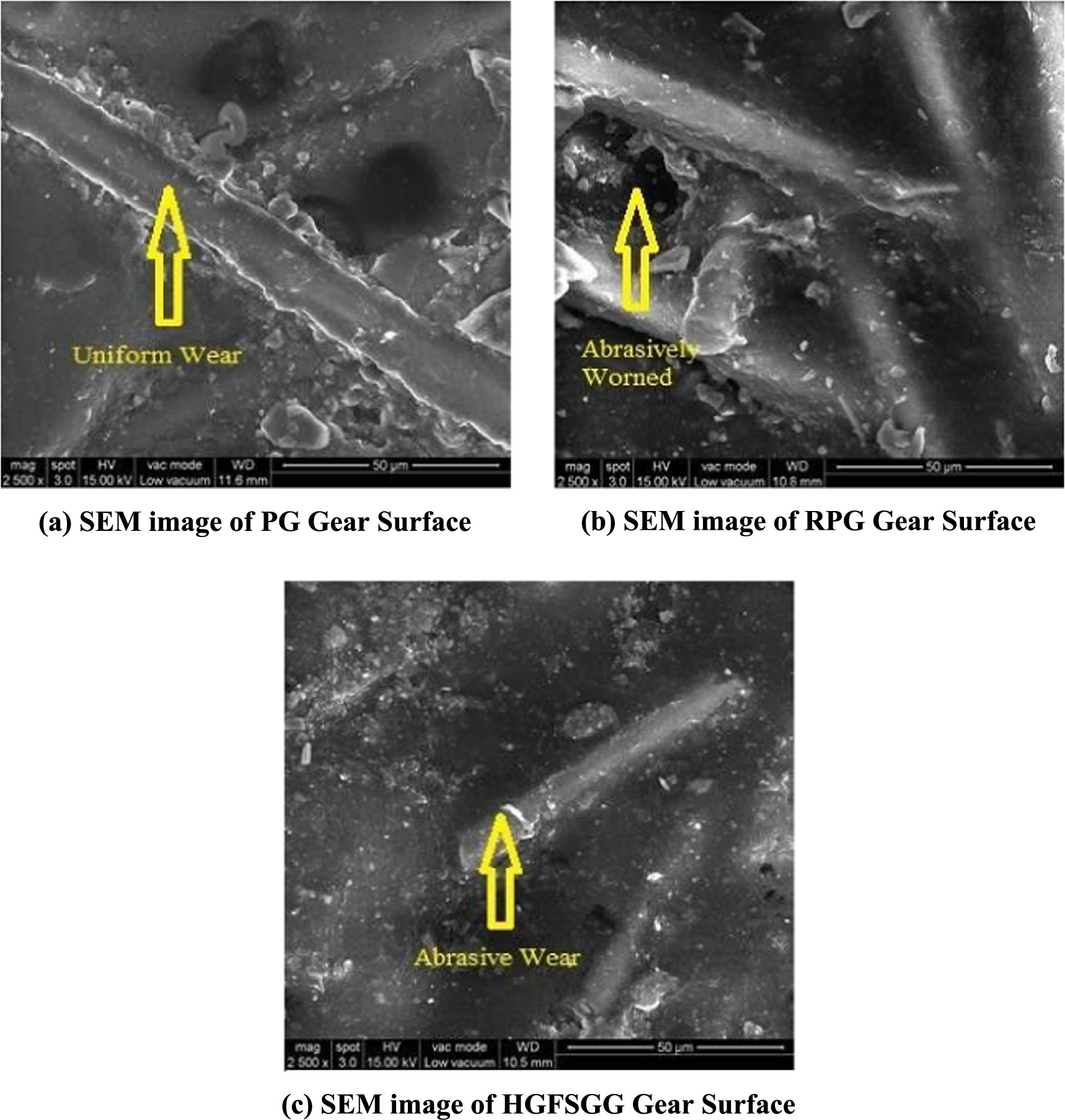 Effects of discrete fibre reinforcements on the wear resistance ...