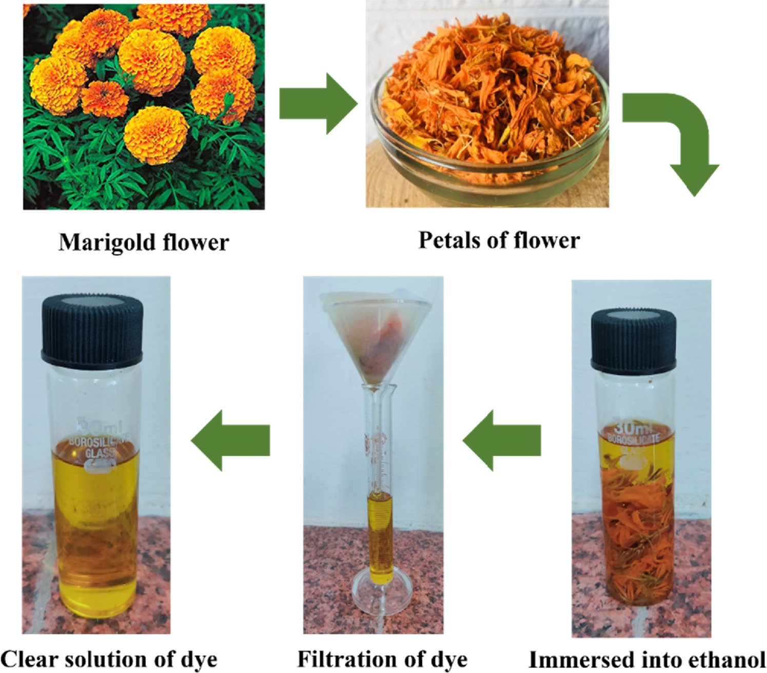 Extraction and characterization of dye from marigold flowers and its ...
