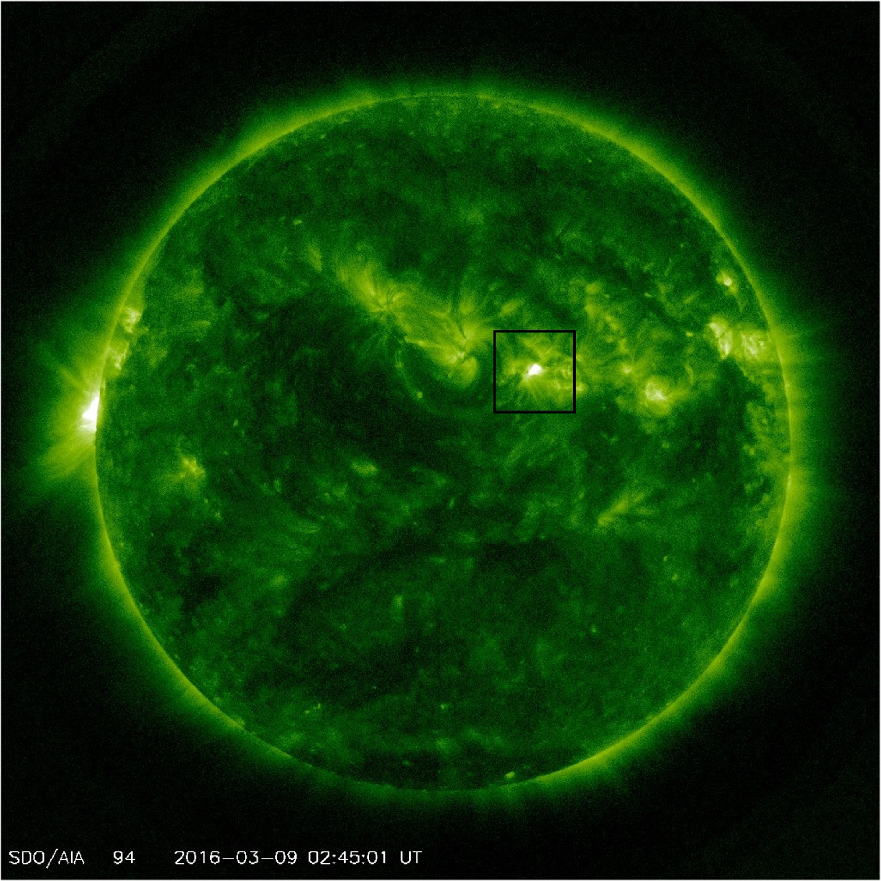 A multiscale analysis of coronal magnetic fields during solar flares ...