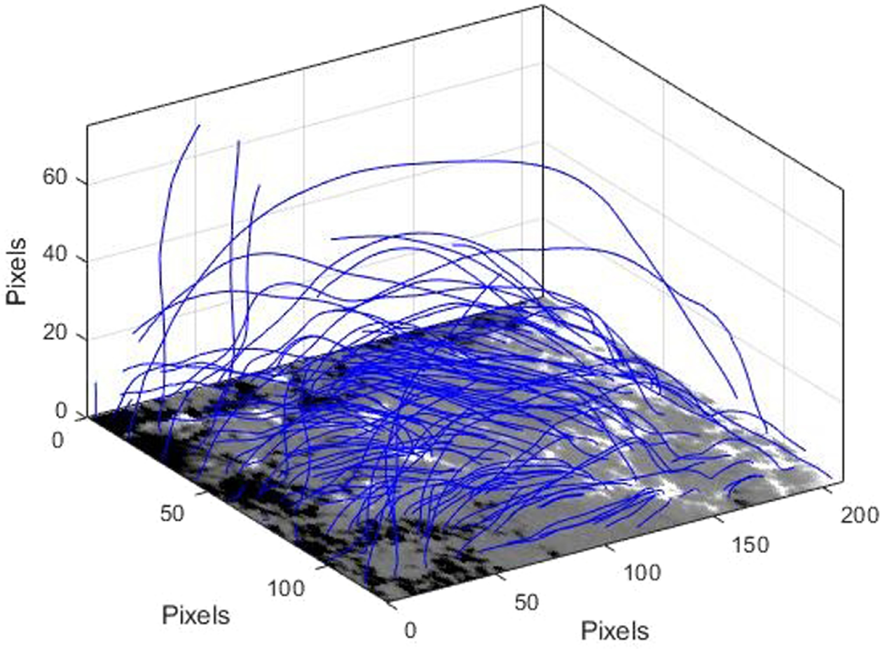 A multiscale analysis of coronal magnetic fields during solar flares ...