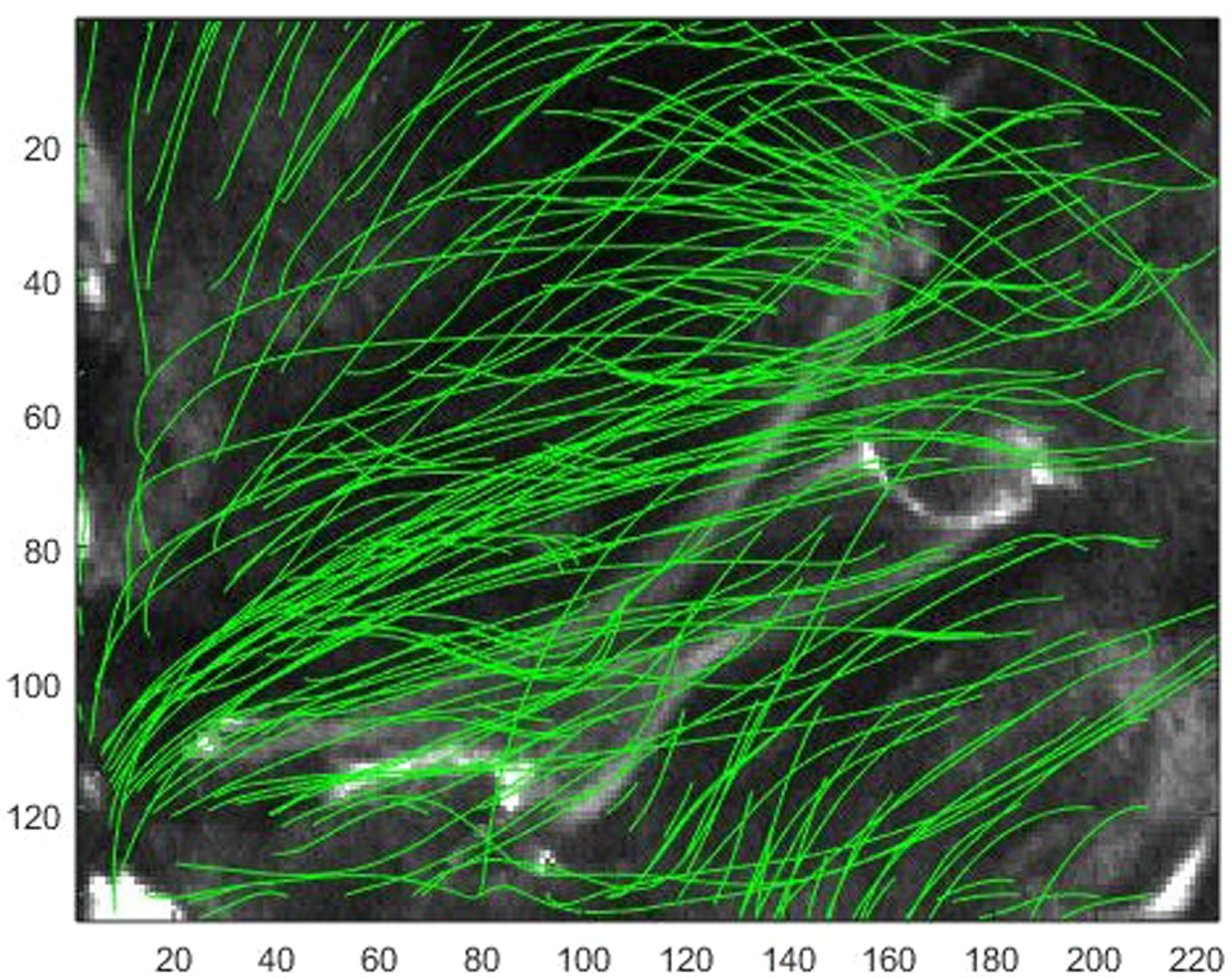 A multiscale analysis of coronal magnetic fields during solar flares ...