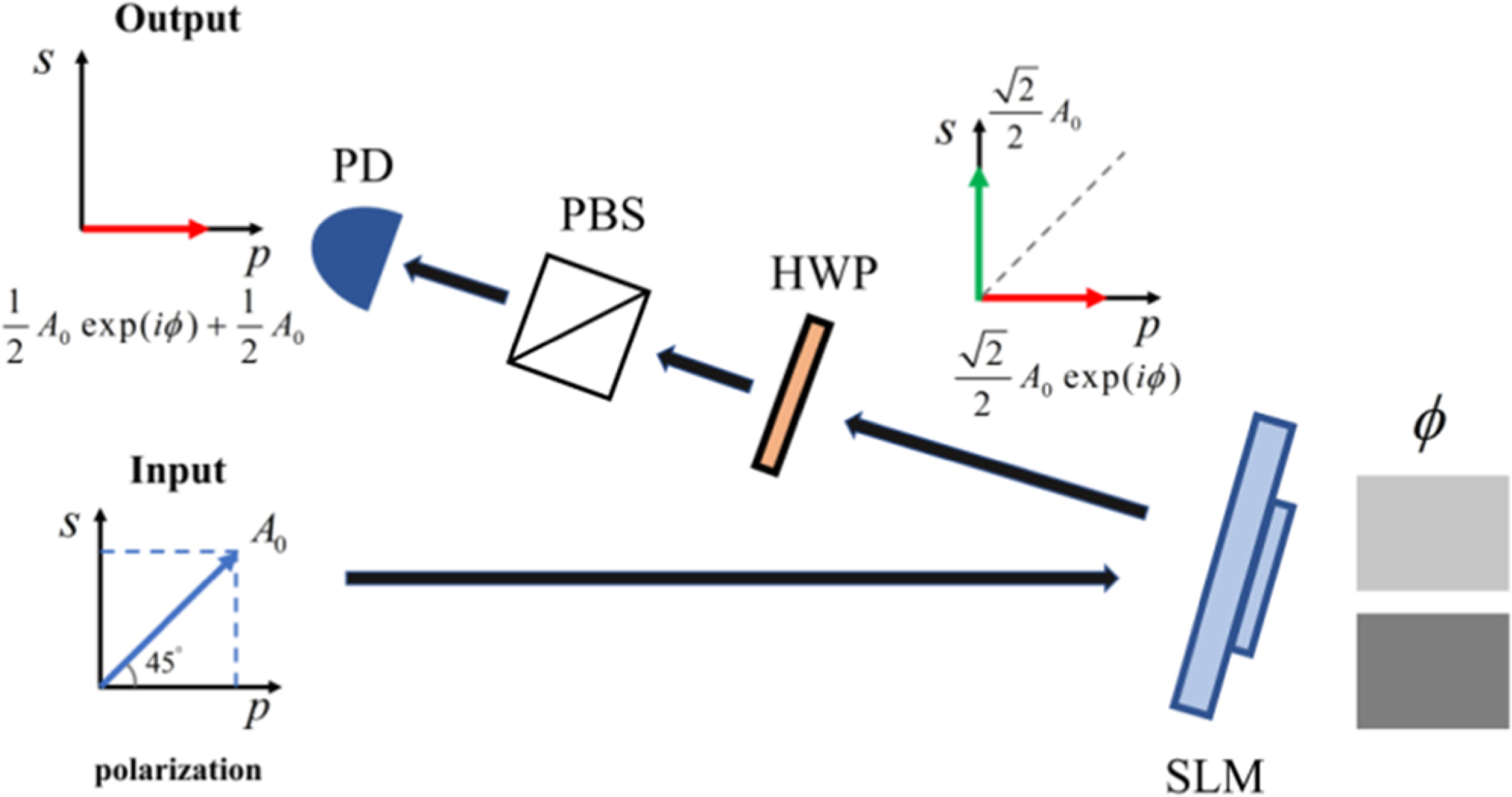 Calibration of the phase modulation characteristics of a spatial light ...