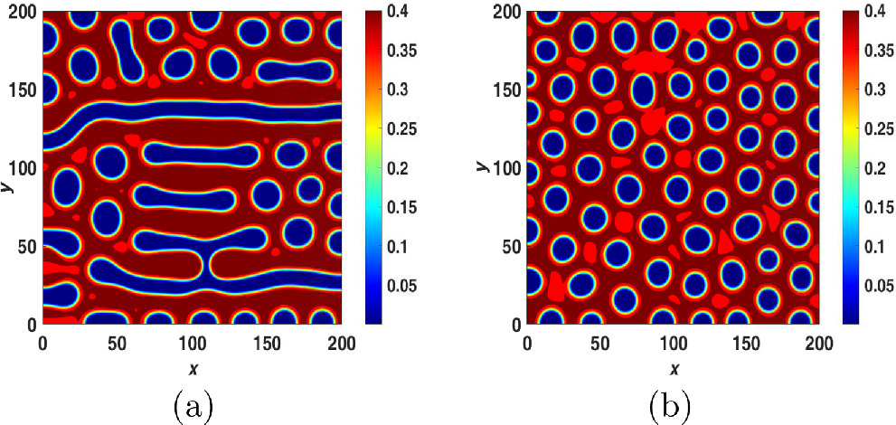 Modelling cross-diffusion with Beverton-Holt-like additional food ...
