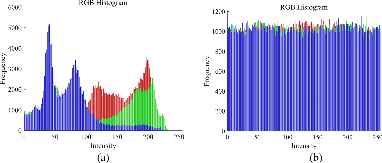 Image encryption algorithm based on improved Thorp and local variance adaptive diffusion ...