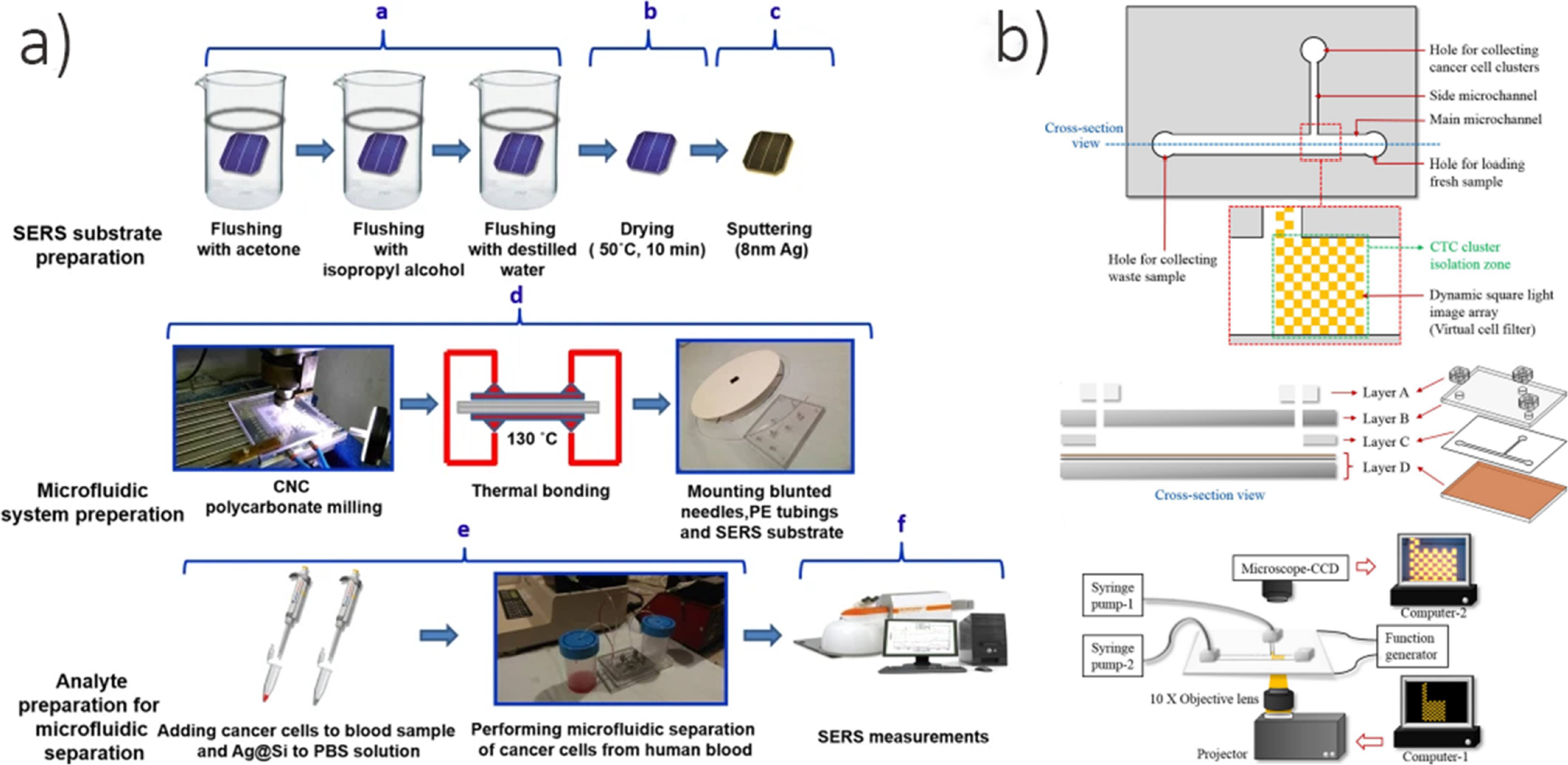 Development of microfluidic technology for sorting circulating tumor ...