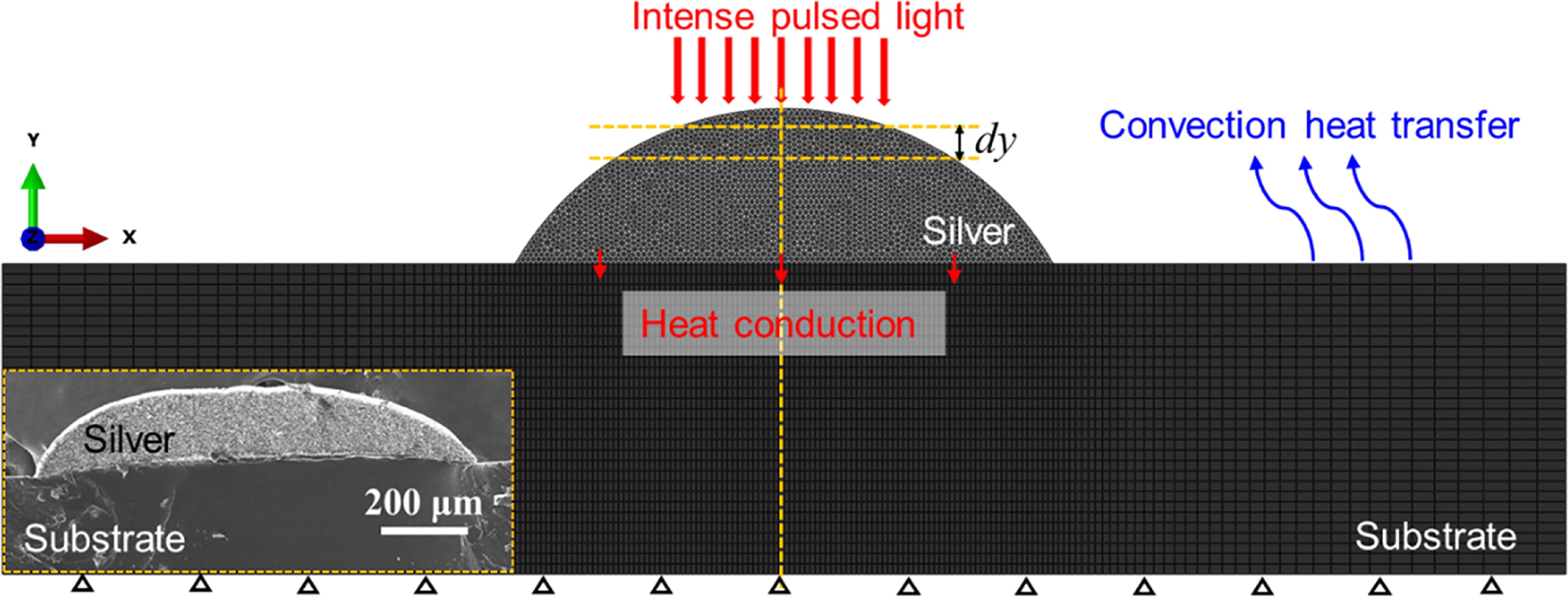 Effects of substrate parameters on pulsed light setting during intense ...