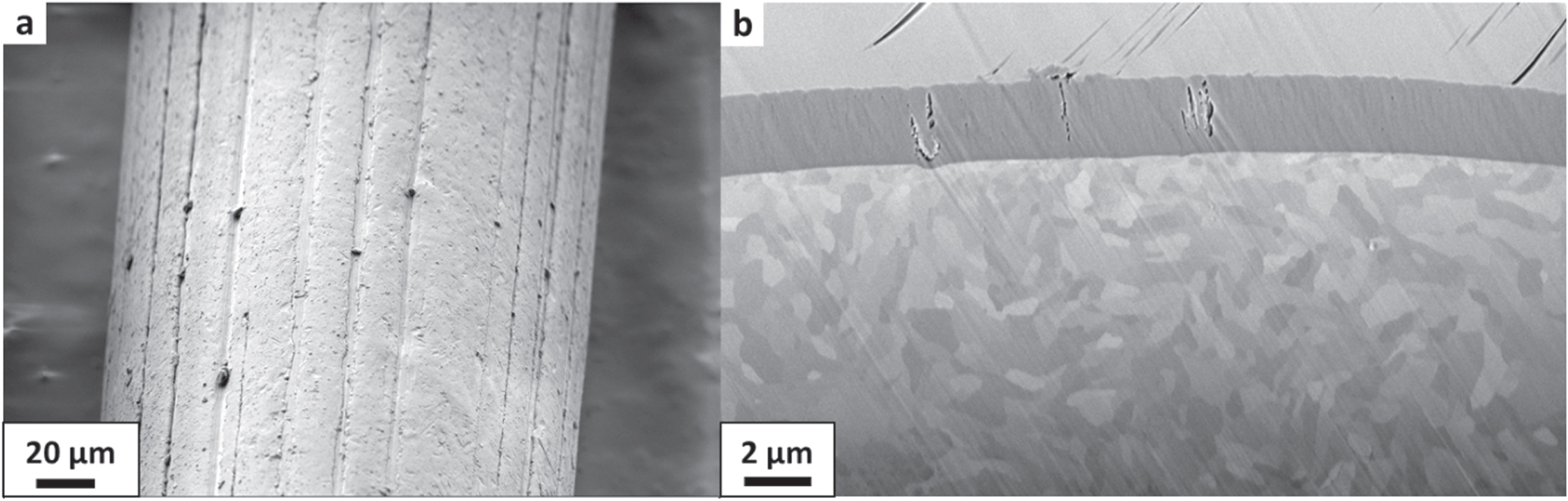 Development and characterization of powder metallurgically produced ...