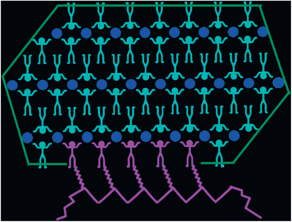 Biomineralization: mineral formation by organisms - IOPscience