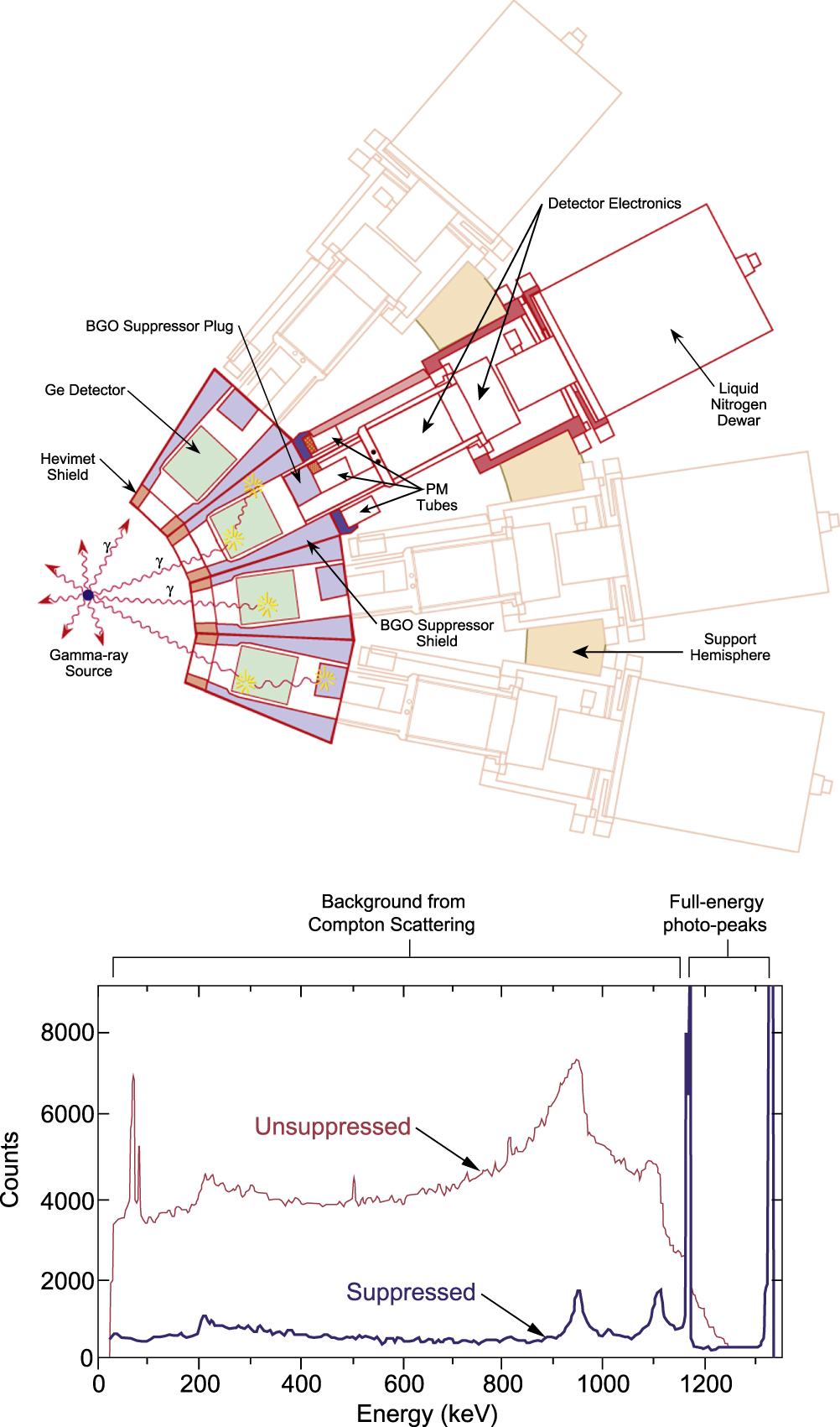 High resolution gamma-ray spectroscopy and the fascinating angular ...