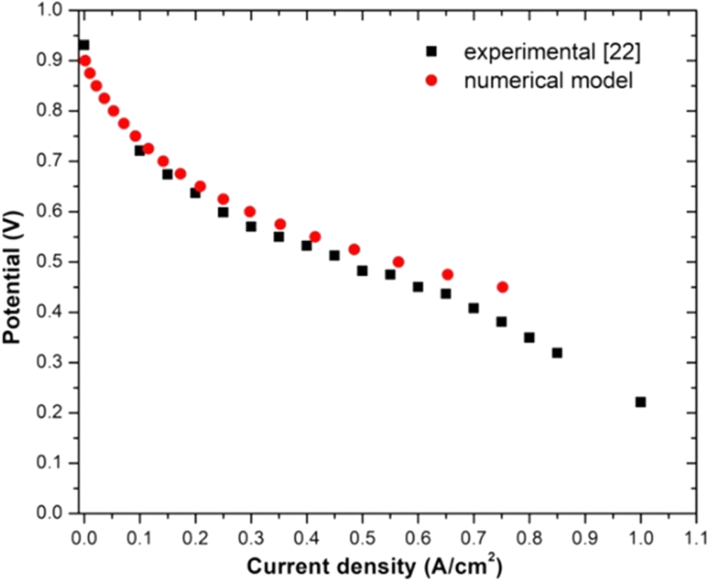 Water and hydrogen transport modelling through the membrane-electrode ...