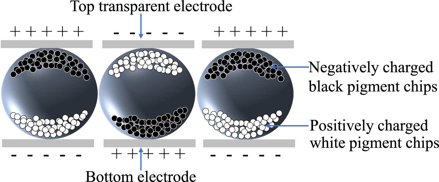 Intelligent reversible electrochromic flexible electronic fabric based ...