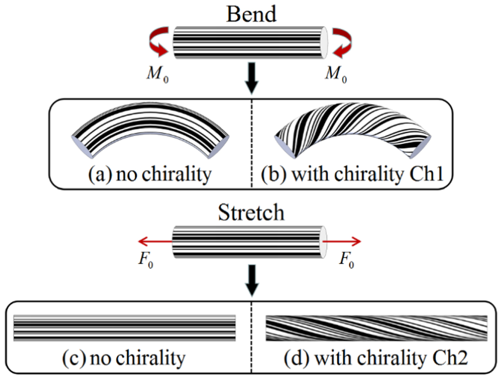 Hierarchical chirality of biofilament induced by its chiral ...