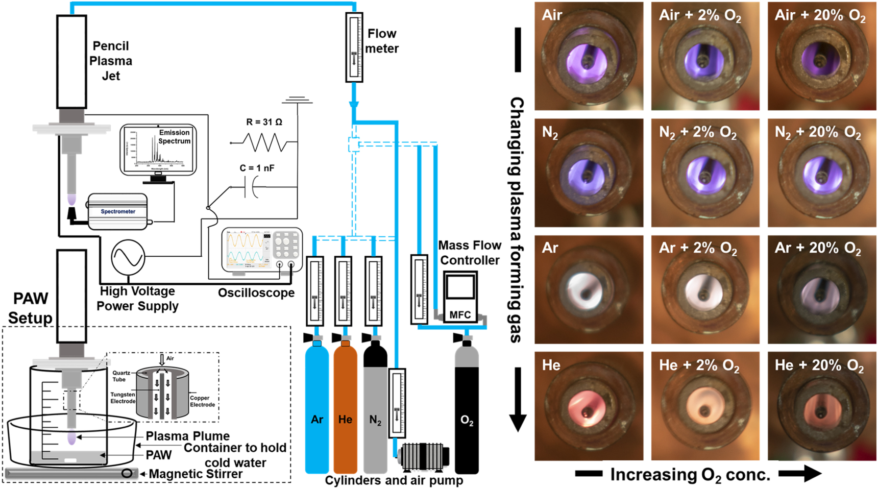 The role of different plasma forming gases on chemical species formed ...