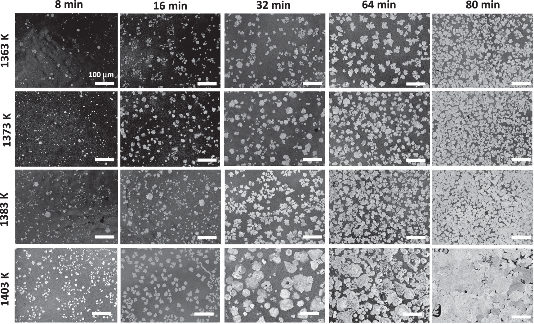Kinetic analysis of 2D Mo2C crystal growth via CVD - IOPscience