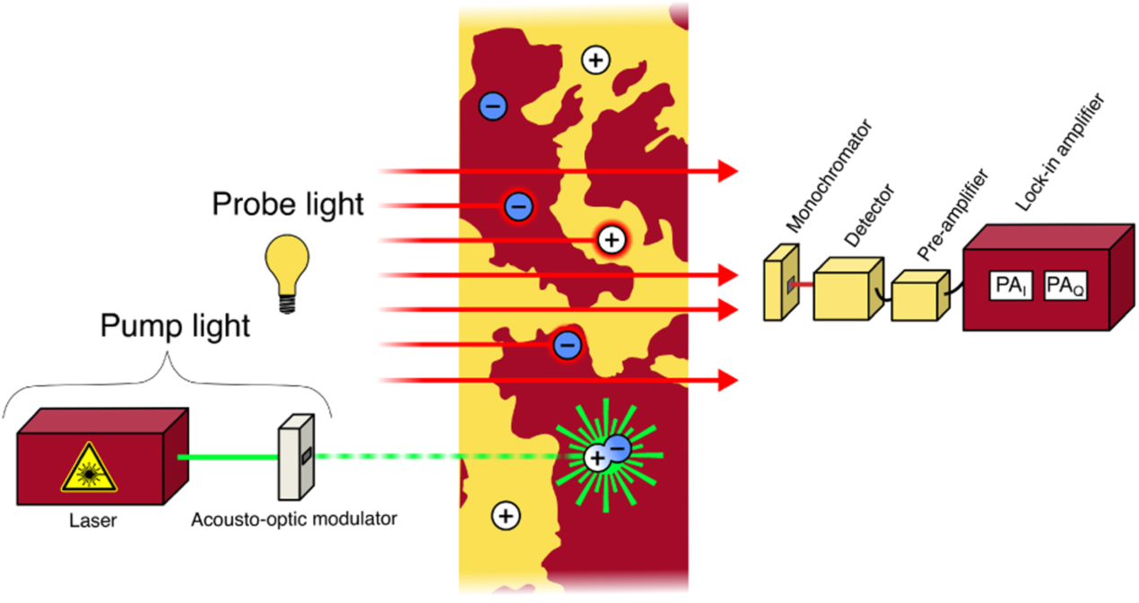Recognizing and correcting for errors in frequency-dependent modulation spectroscopy - IOPscience