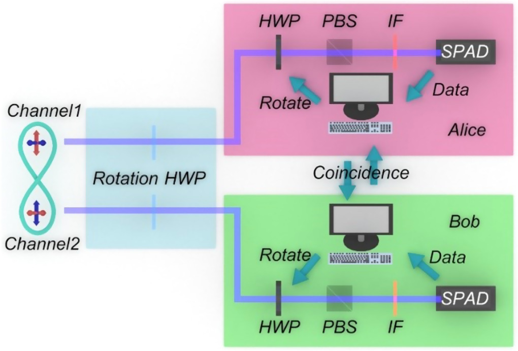 AI polarization compensation algorithm using a asymmetry entangled ...