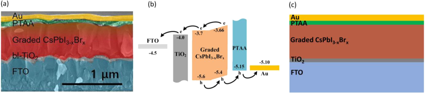 Performance enhancement of CsPbI3-xBrx perovskite solar cells via graded bandgap and affinity ...