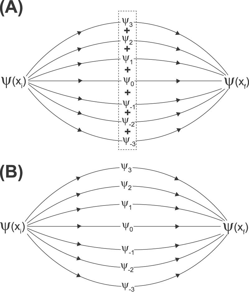 Feynman path description of the effects of dephasing of spatial ...