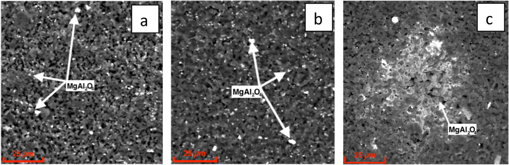 Structure and flexural strength of the hot-pressed AlMgB14 ceramic ...