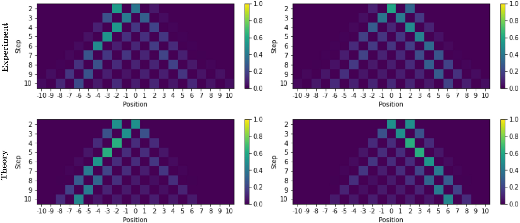 Dynamic conditioning of two particle discrete-time quantum walks ...